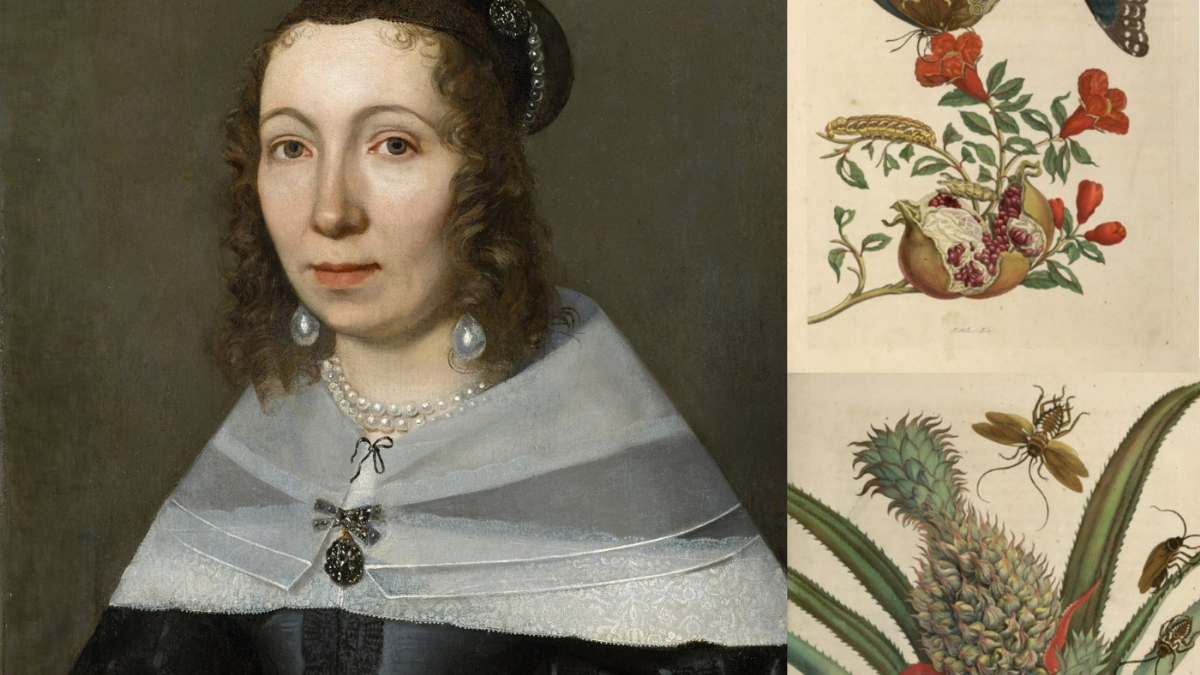 Mujeres en la ciencia: Maria Sibylla Merian
