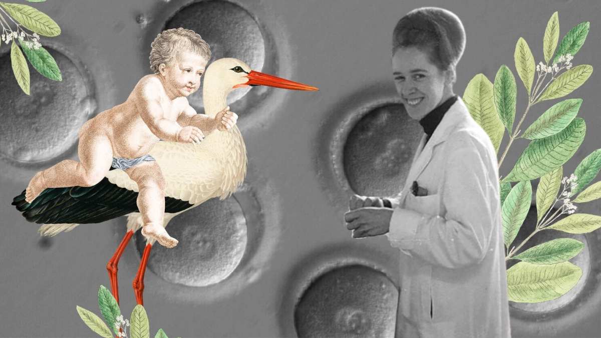 Mujeres en la ciencia: Jean Purdy – ACCIÓN Y REACCIÓN